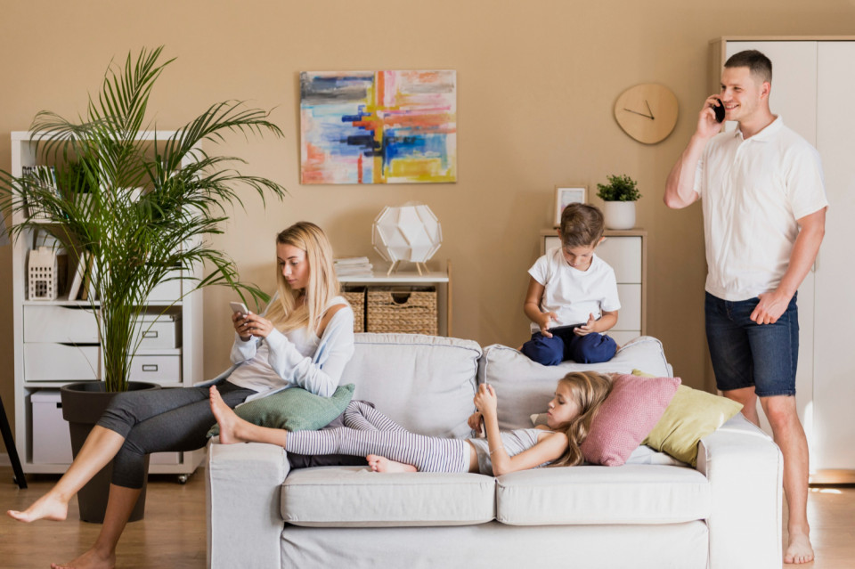 Design Inspiration for the Family Room - Furnizing